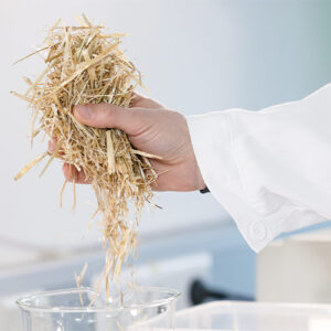 Biomass Fractionation Technology - Annikki GmbH